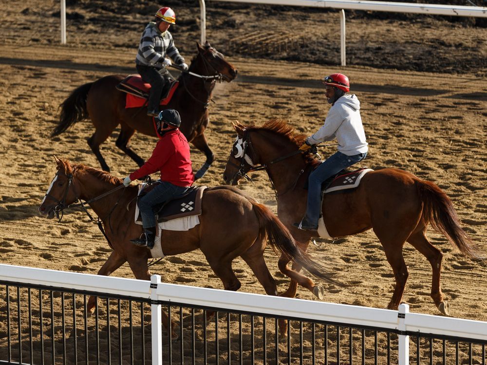 Watch: Century Mile Racetrack and Casino opens to the public | Edmonton ...