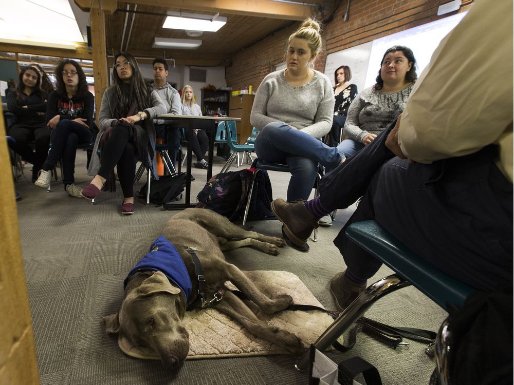 Centre High will move to Alberta College Campus in fall 2020 | Edmonton ...