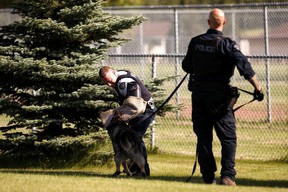 RCMP canine unit grows unique partnership with man's best friend ...