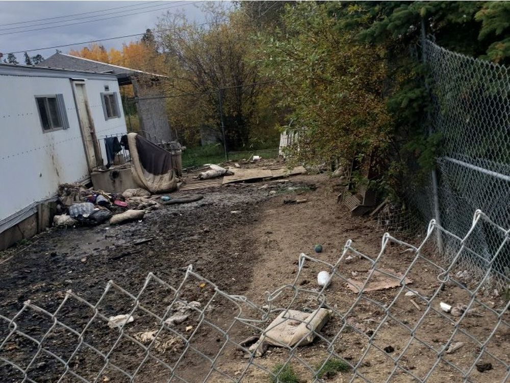 Alberta SPCA investigating dogs in distress on Swan Hills property ...