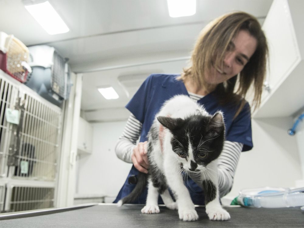 Humane society unveils new mobile spay and neuter unit | Edmonton Journal