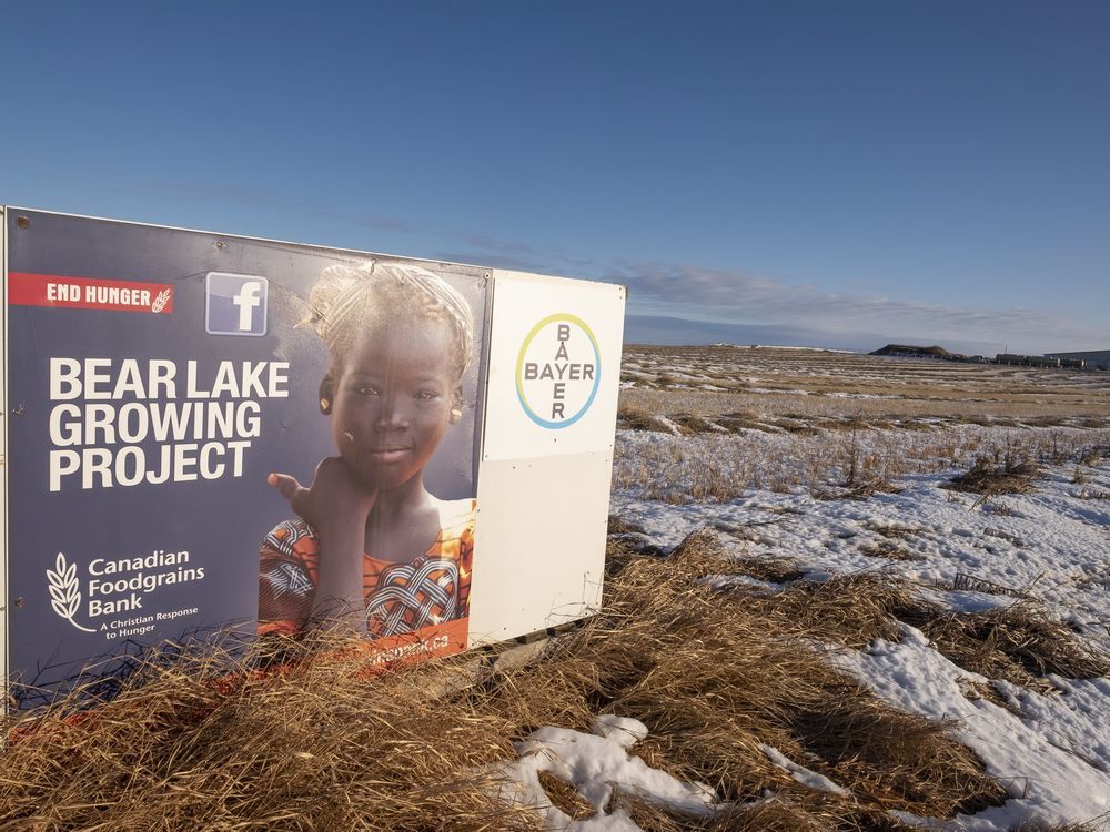 Grains bank spreads seed despite rough year for local farmers ...