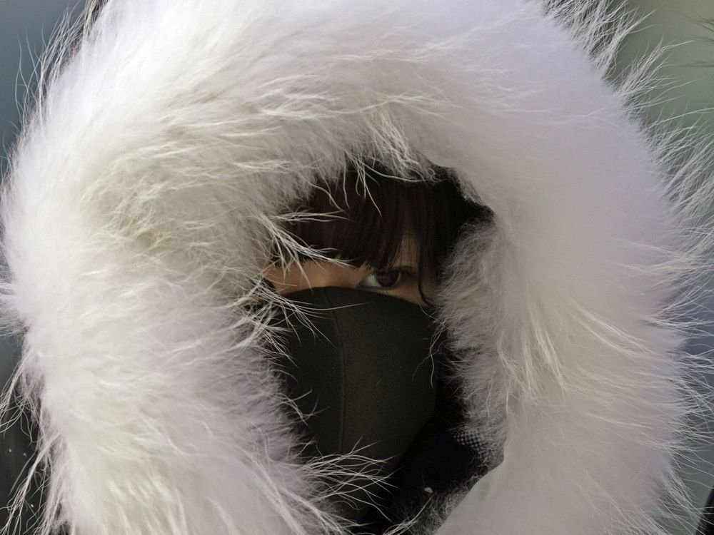 Edmonton weather: How 'bout a little snow with your extreme cold ...