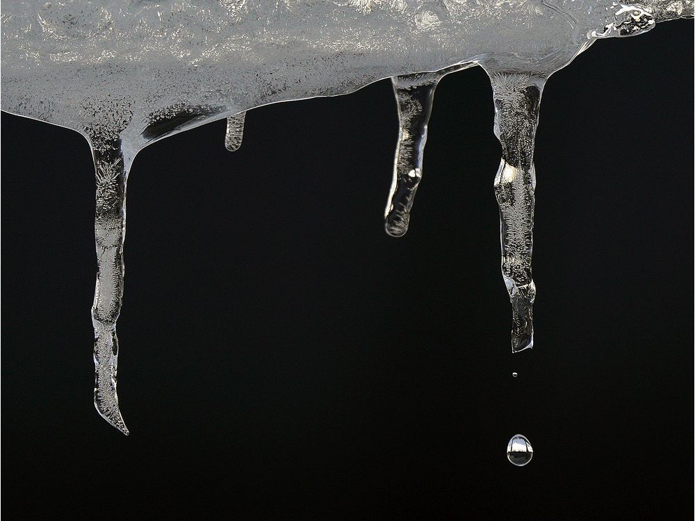 Edmonton weather: Drip drip drop little January shower | Edmonton Journal