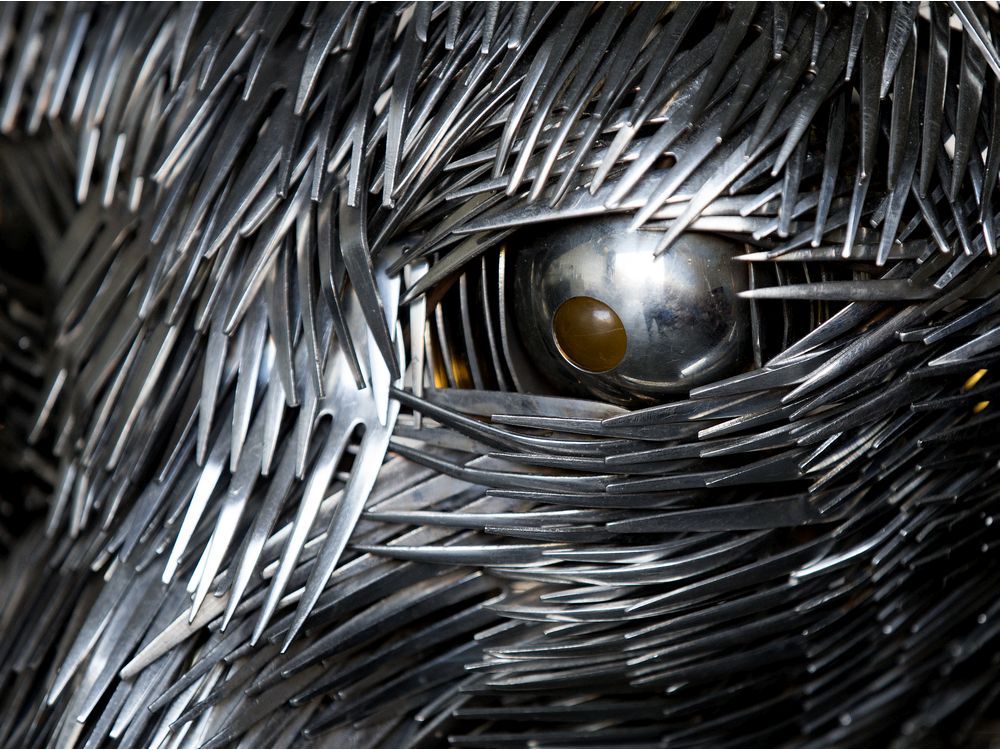 Edmonton thrift stores cleaned out of forks by artist making bear ...