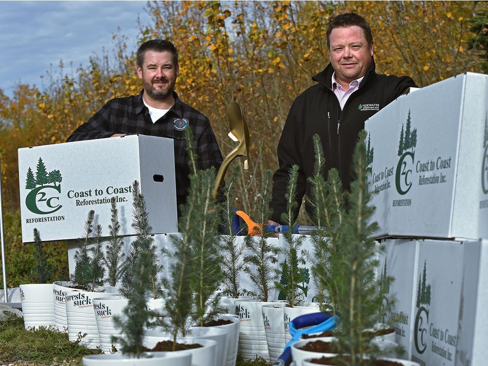 Non-profit group plans to grow forest near Edmonton as a natural carbon ...