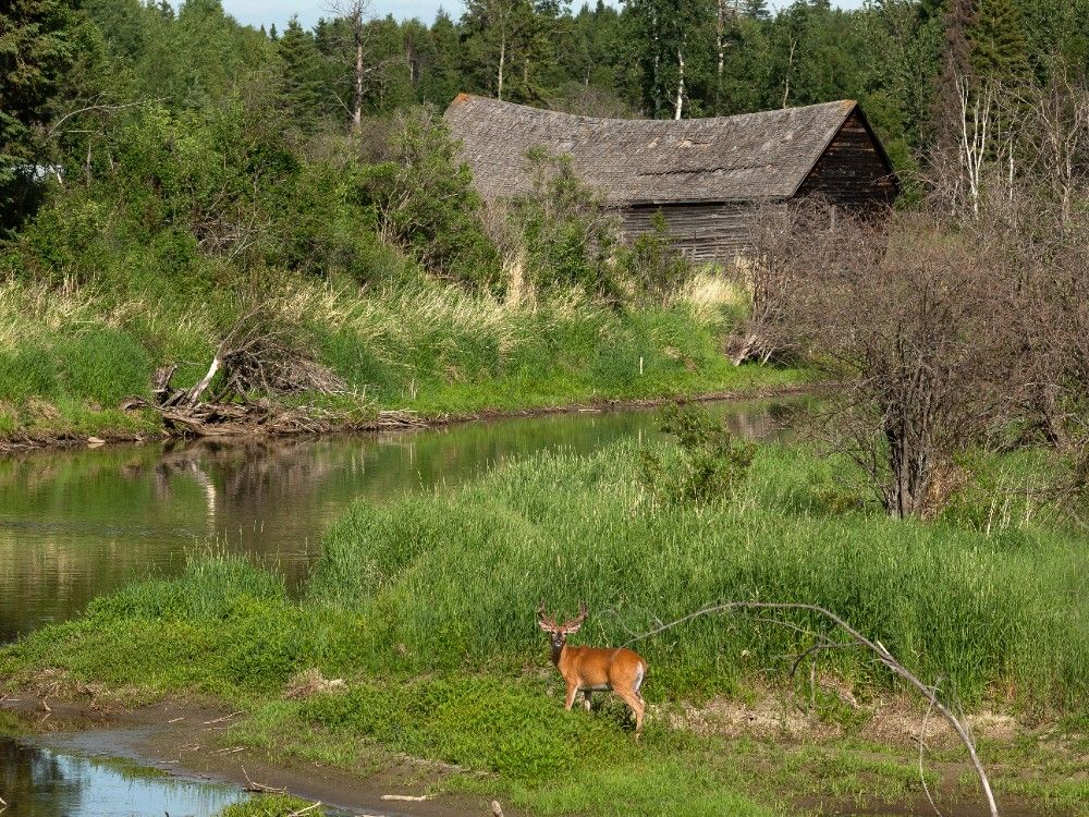 Edmonton weather: It's coming... temperatures set to rise in the coming ...