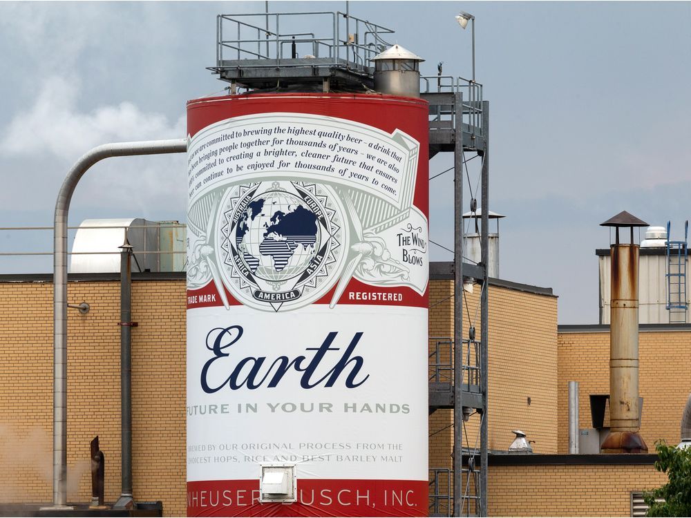Labatt's Edmonton brewery expansion to boost production and create jobs ...