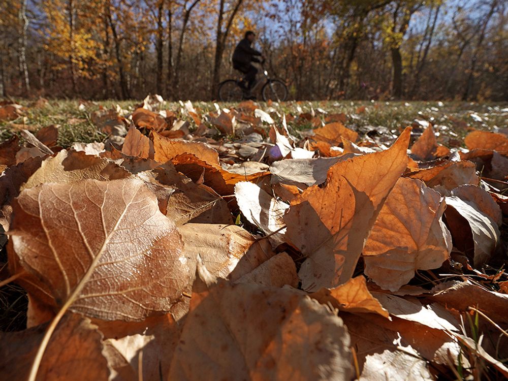 Edmonton weather: Well at least we're not shovelling snow right now ...