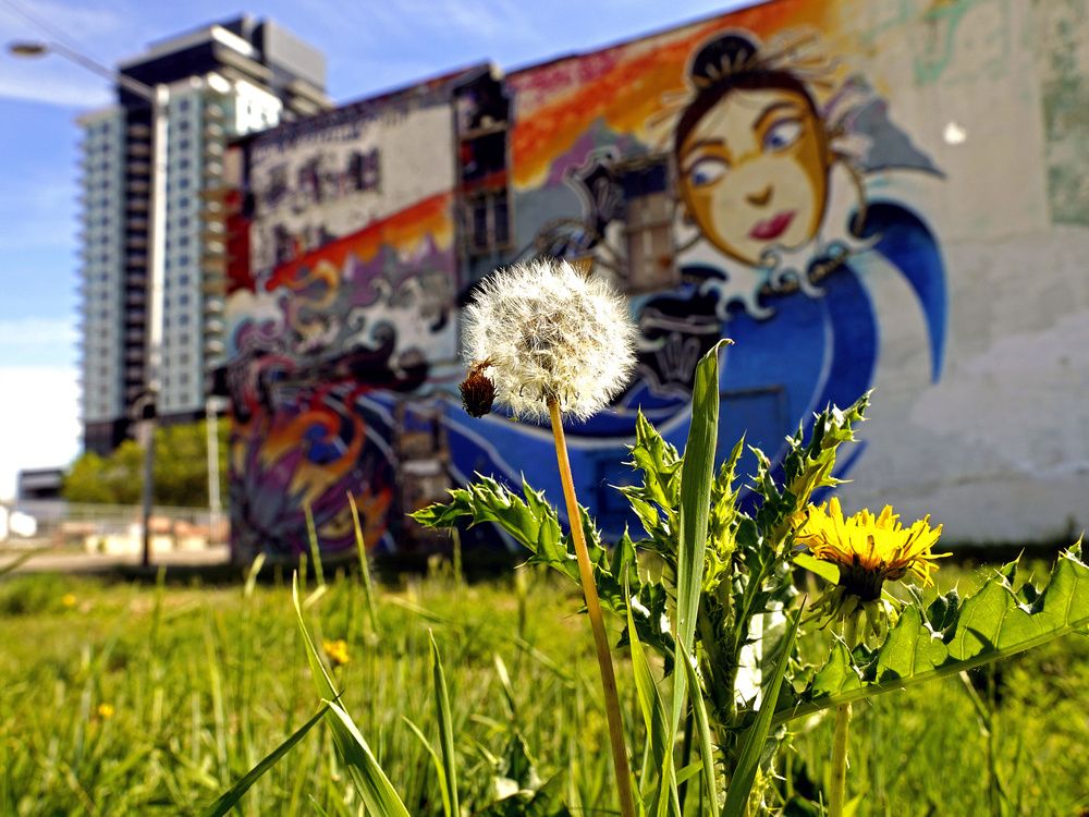 Edmonton weather: Hot summer weather, could it get any better ...