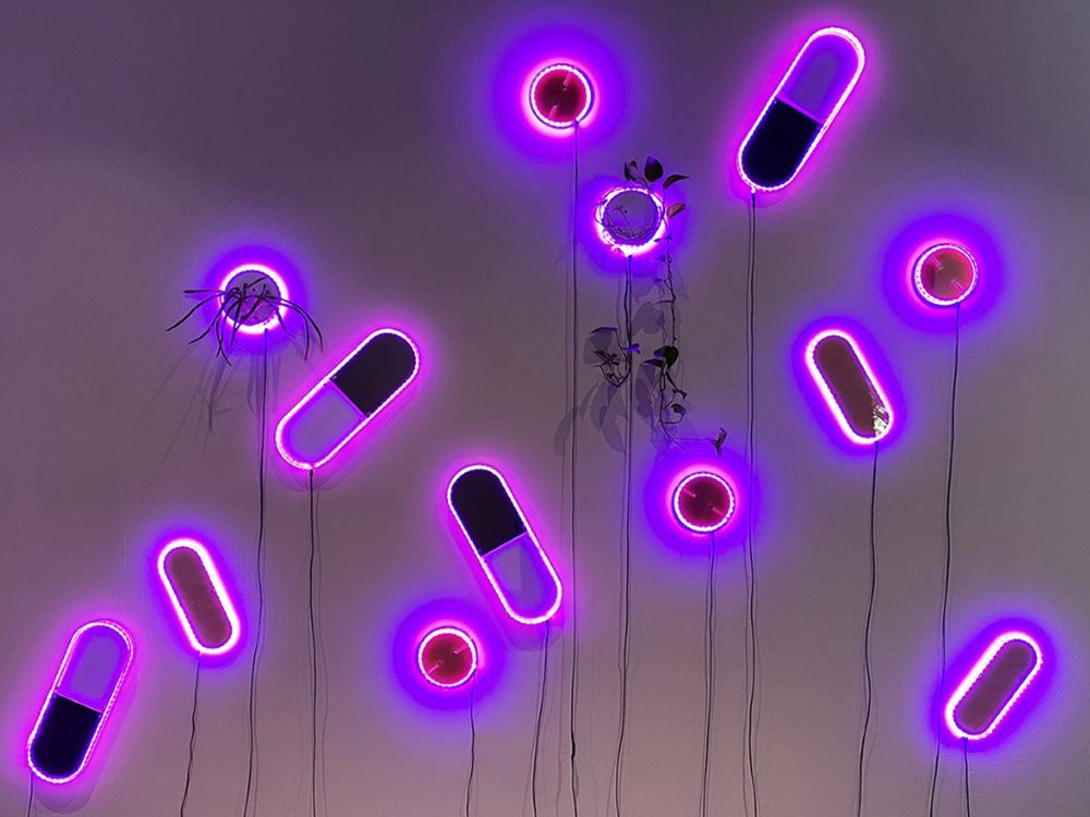 Three to See Friday: Chelsea Campbell at FAB, Sophie Buddle, 6 Guitars ...