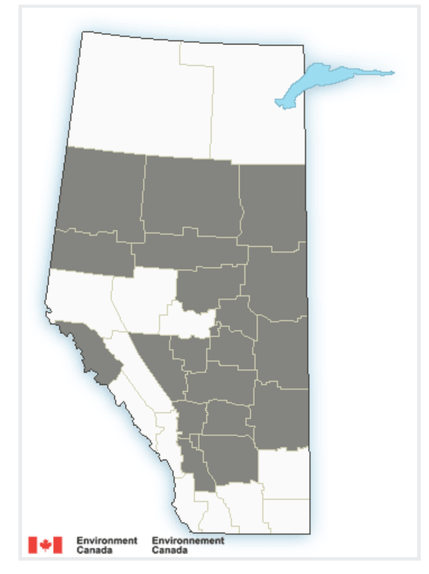 Wildfire smoke prompts air quality advisory for Edmonton | Edmonton Journal