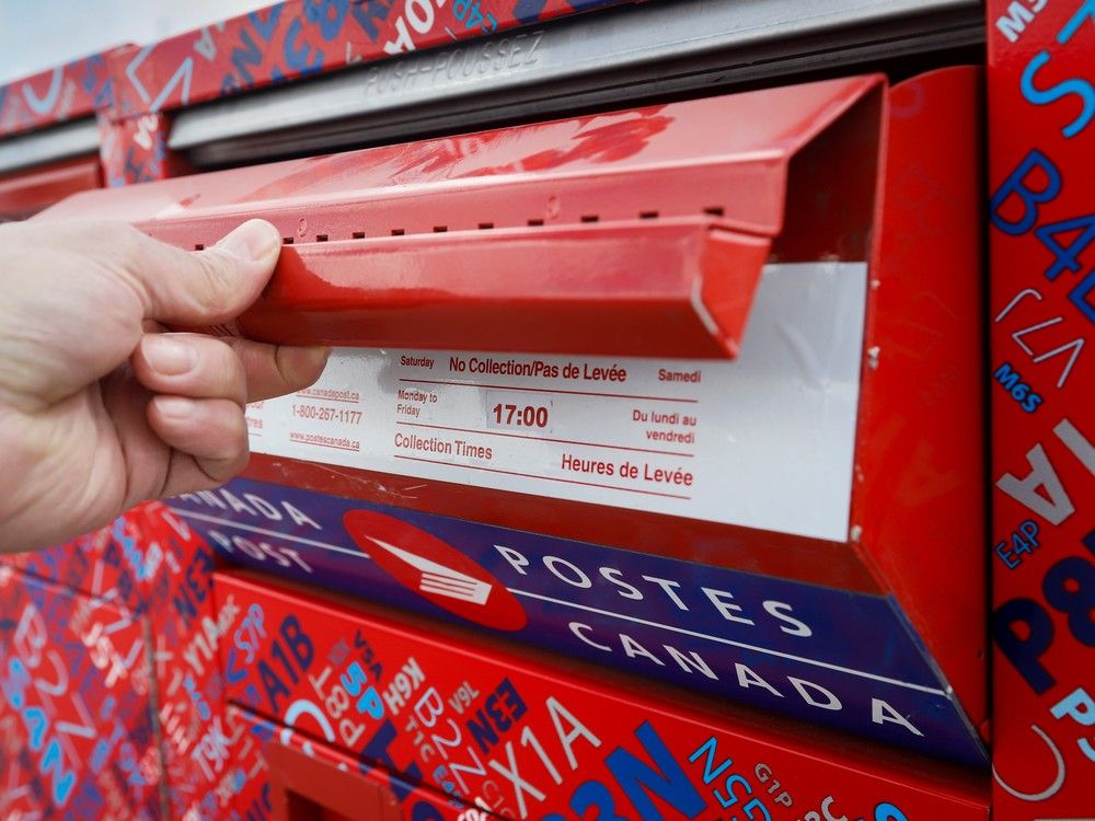 Wainwright Canada Post worker facing mail theft charges after RCMP find ...