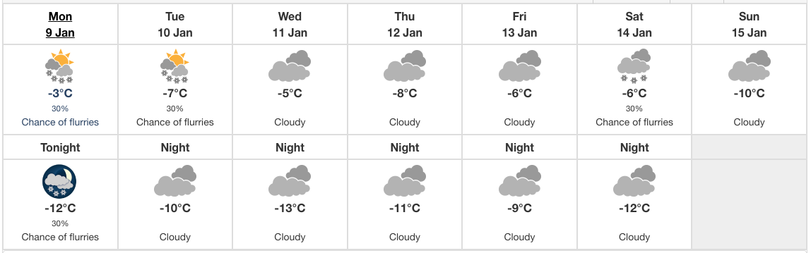 Edmonton weather: A chance of flurries in our furry forecast | Edmonton ...