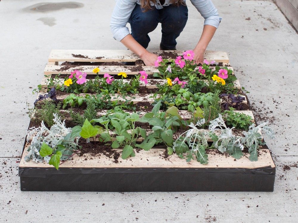 Growing Things: Plenty of options to grow vegetables without a yard ...