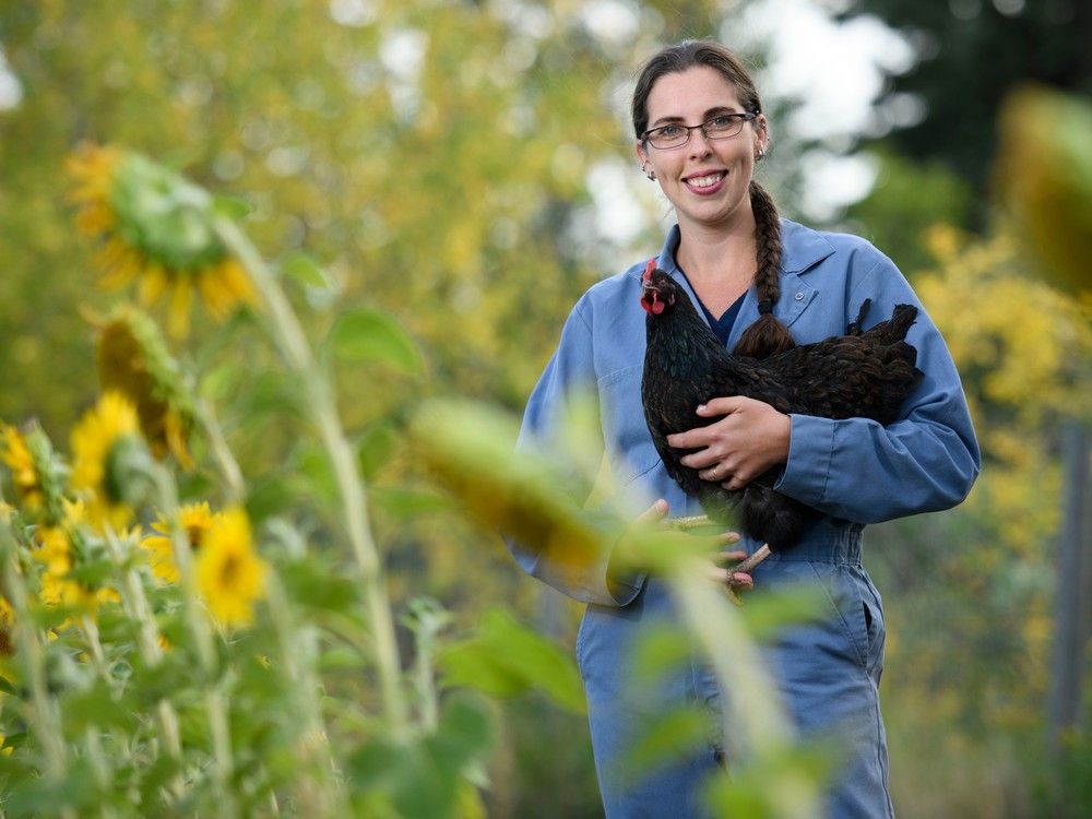 Dr. Savannah in the second season of Wild Rose Vet | Edmonton Journal
