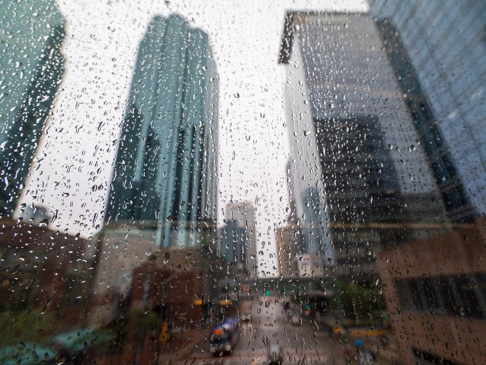 Edmonton weather: rainfall raises water on North Saskatchewan River ...