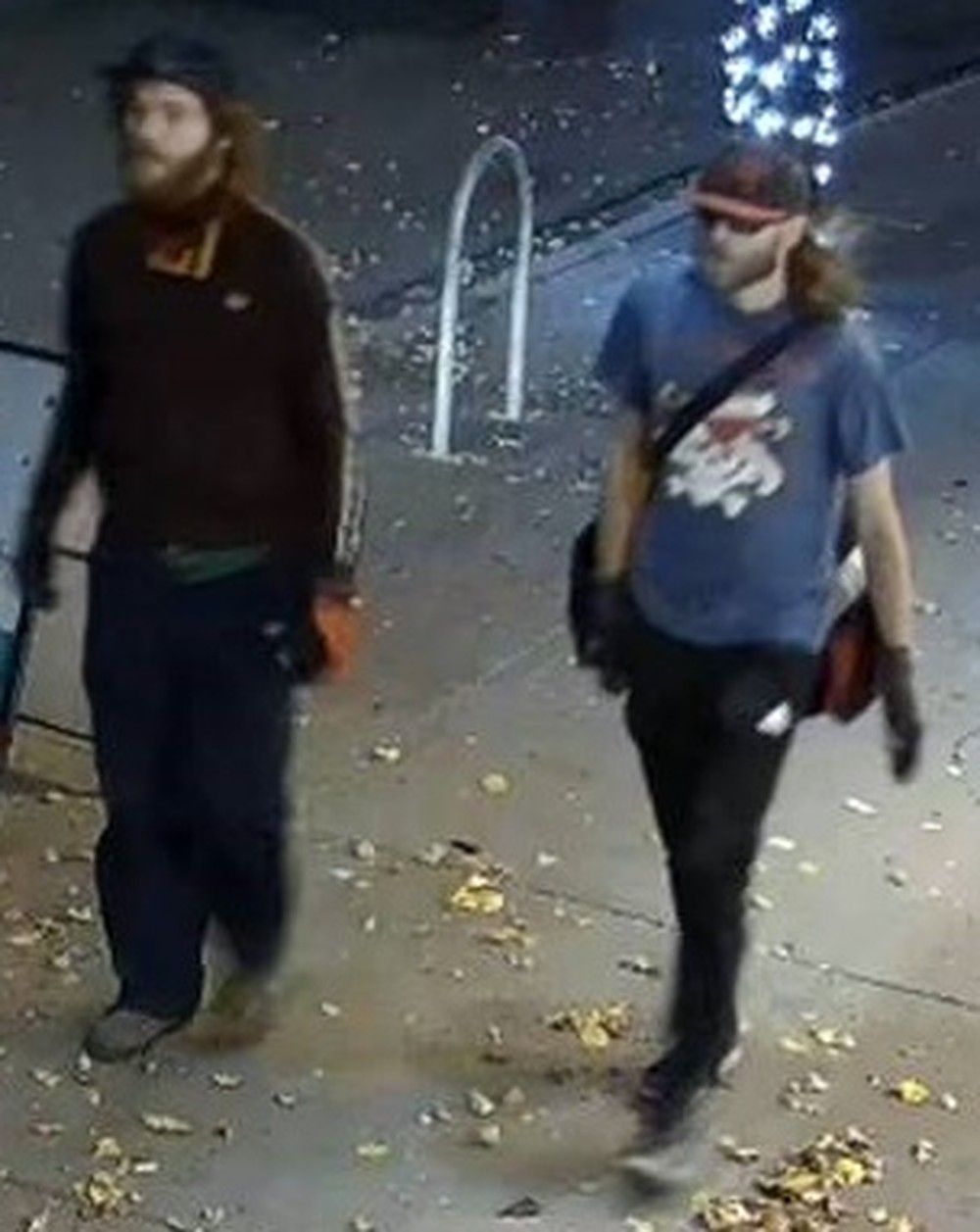 Edmonton police issue photo of two suspects that triggered Amber Alert ...