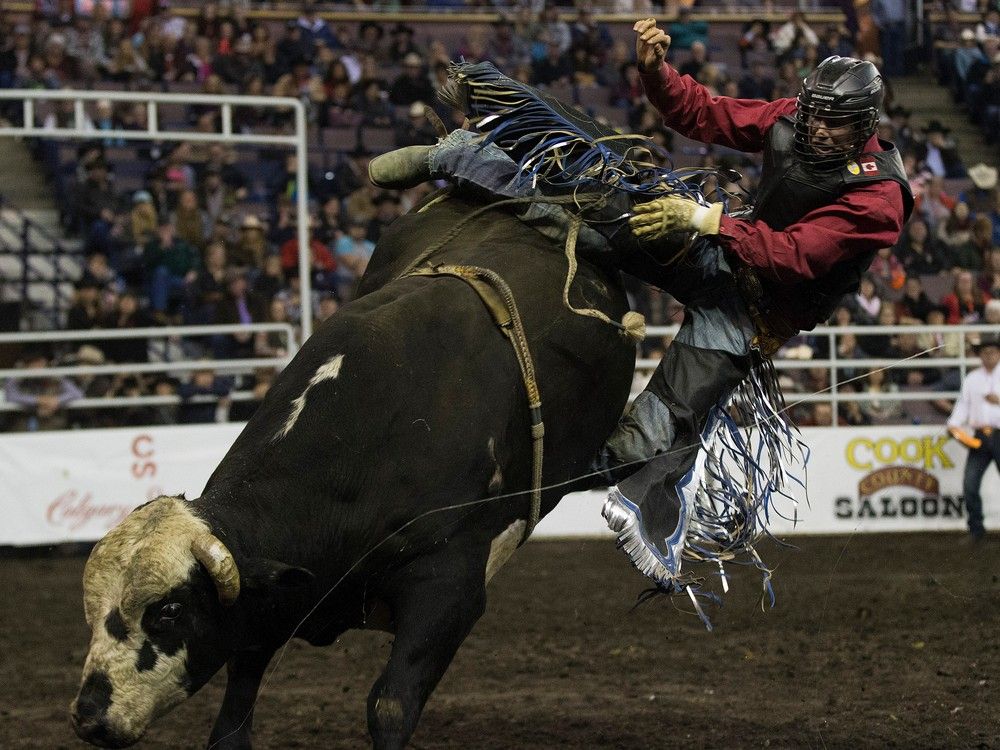 Yee-haw! Canadian Finals Rodeo is coming back to Edmonton | Edmonton ...