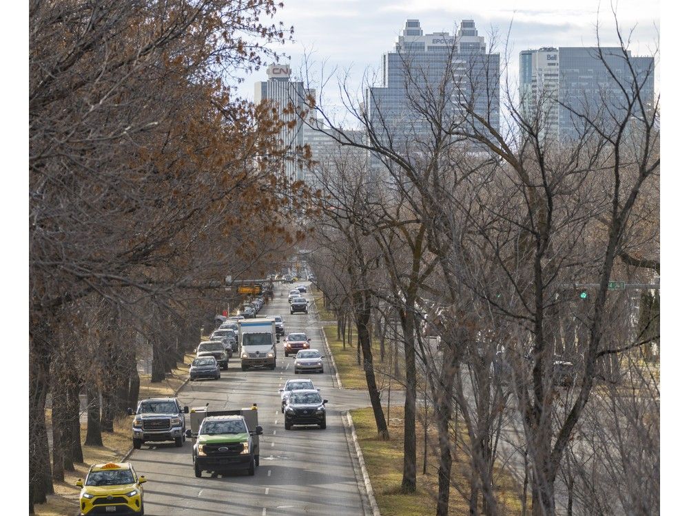 Edmonton Weather: Please refrain from walking in this warm but windy ...