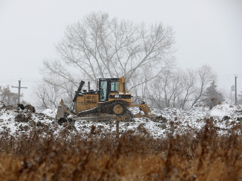 Edmonton Weather: The start of a four-day snowfall forecast | Edmonton ...