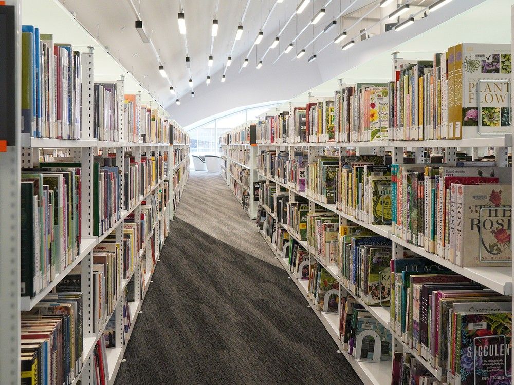 Opinion: Freedom to Read: A cornerstone of our democracy | Edmonton Journal