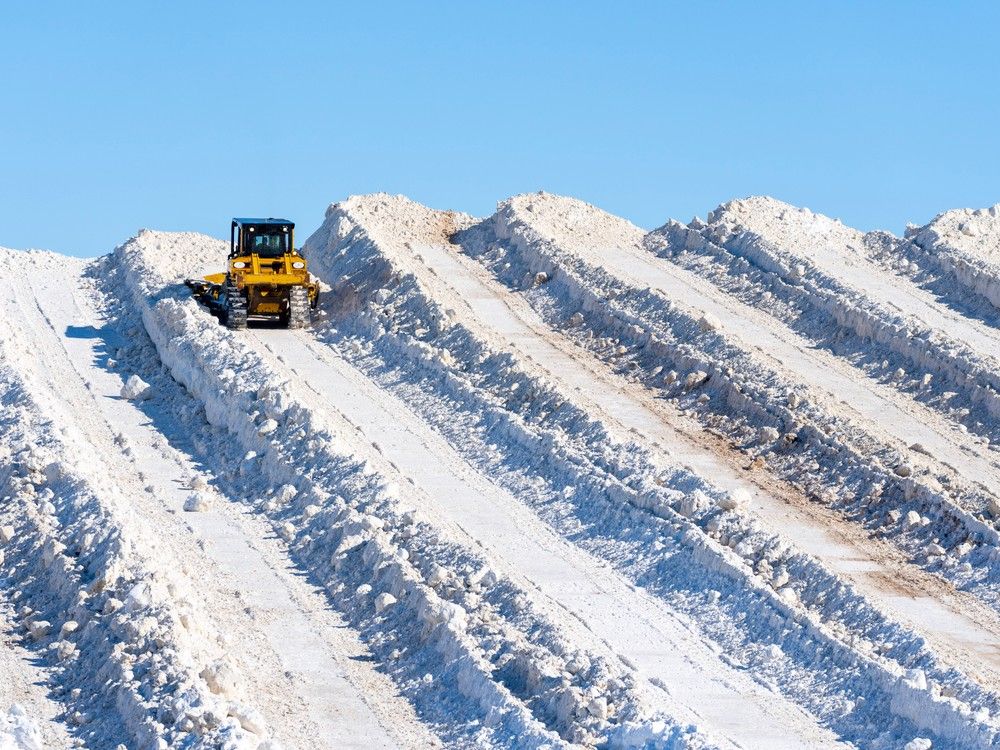 Edmonton Weather: The winds of winter finally break as we dream of ...