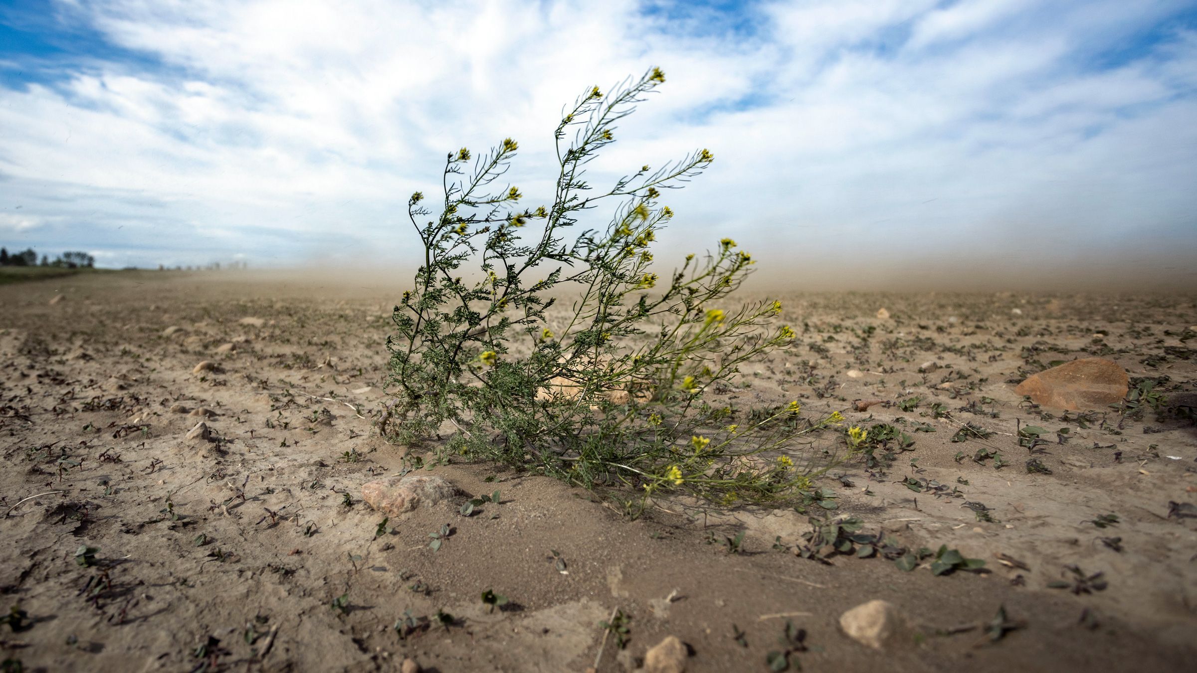 Opinion: Alberta drought shows need to invest in water management ...