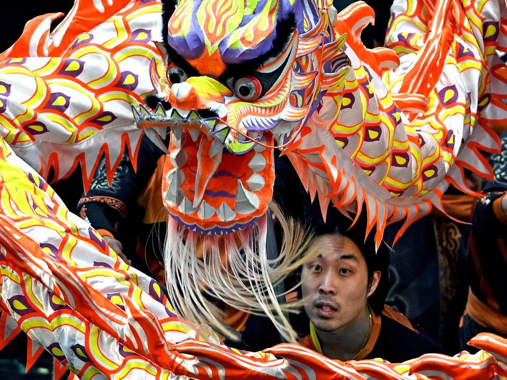 Three to See: Dragon Fest, Northern Bricks and Listening to the Land ...