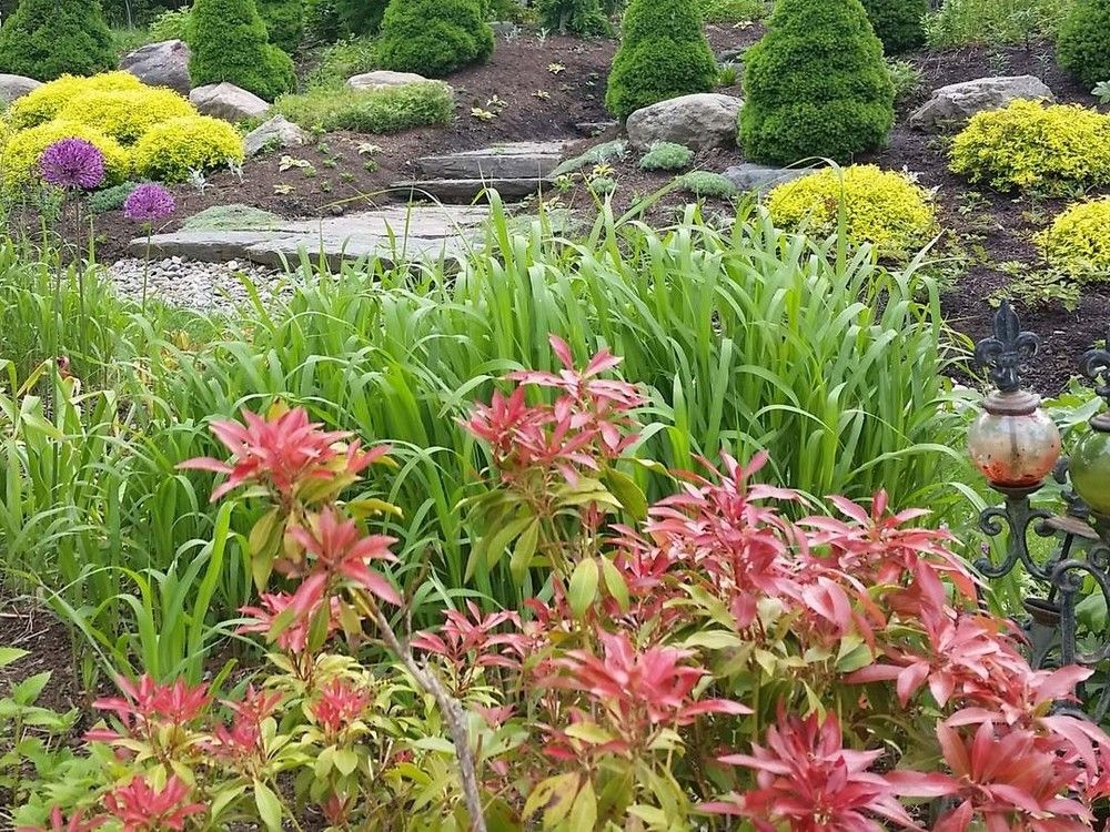 Growing Things: Getting the hang of borderline hardy plants | Edmonton ...