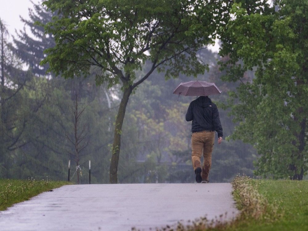 Edmonton weather: A cold, wet weekend ahead | Edmonton Journal
