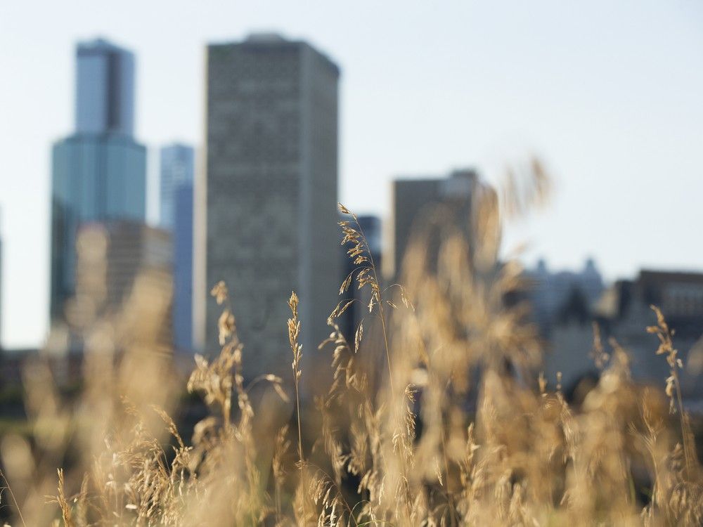 Edmonton weather: A bright sunshiny Friday, but a very wet long weekend ...