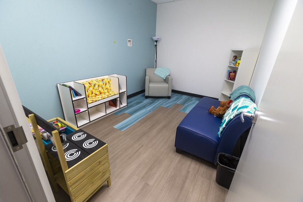 Edmonton's Zebra Centre opening doors to new 'forever home' | Edmonton ...