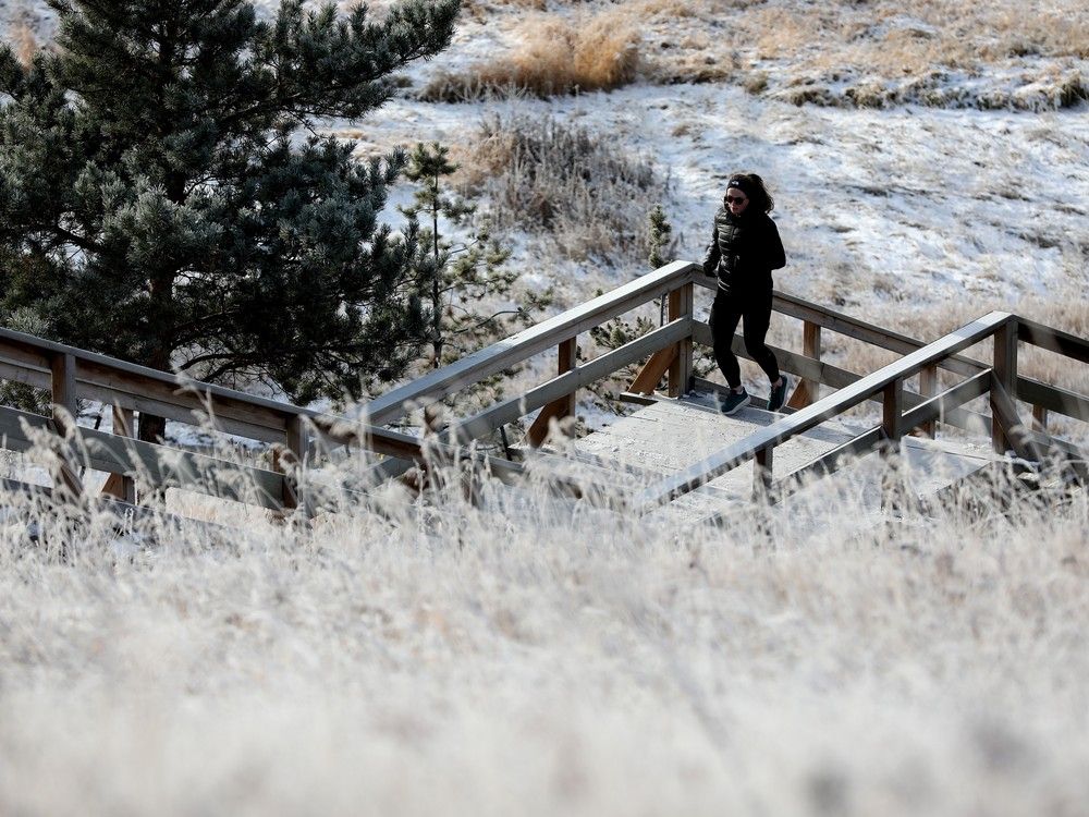 Edmonton's best spots to see fall beauty | Edmonton Journal