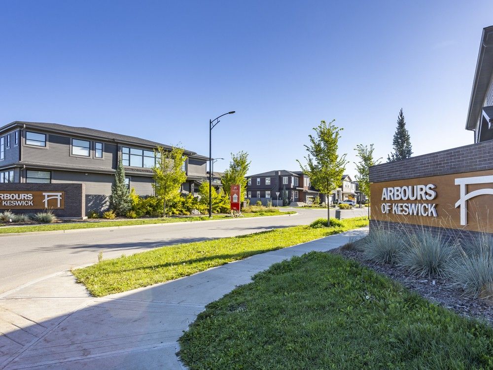 Take a peek at what's ahead for Rohit Group in 2025 | Edmonton Journal