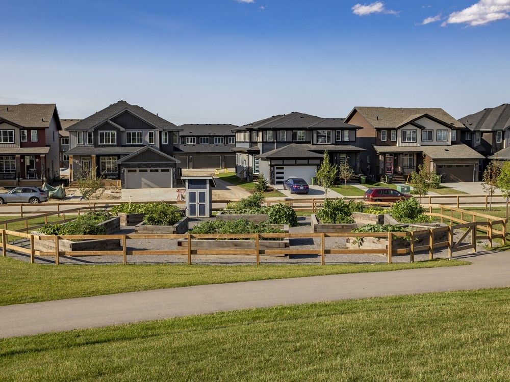 Take a peek at what's ahead for Rohit Group in 2025 | Edmonton Journal