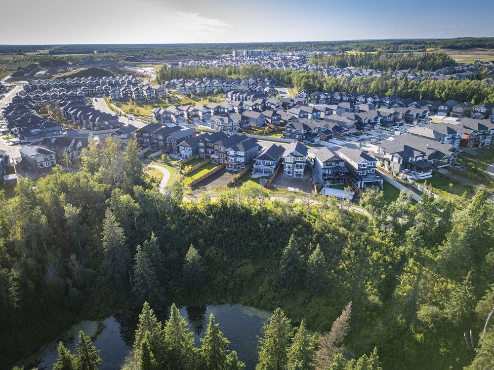 Take a peek at what's ahead for Rohit Group in 2025 | Edmonton Journal