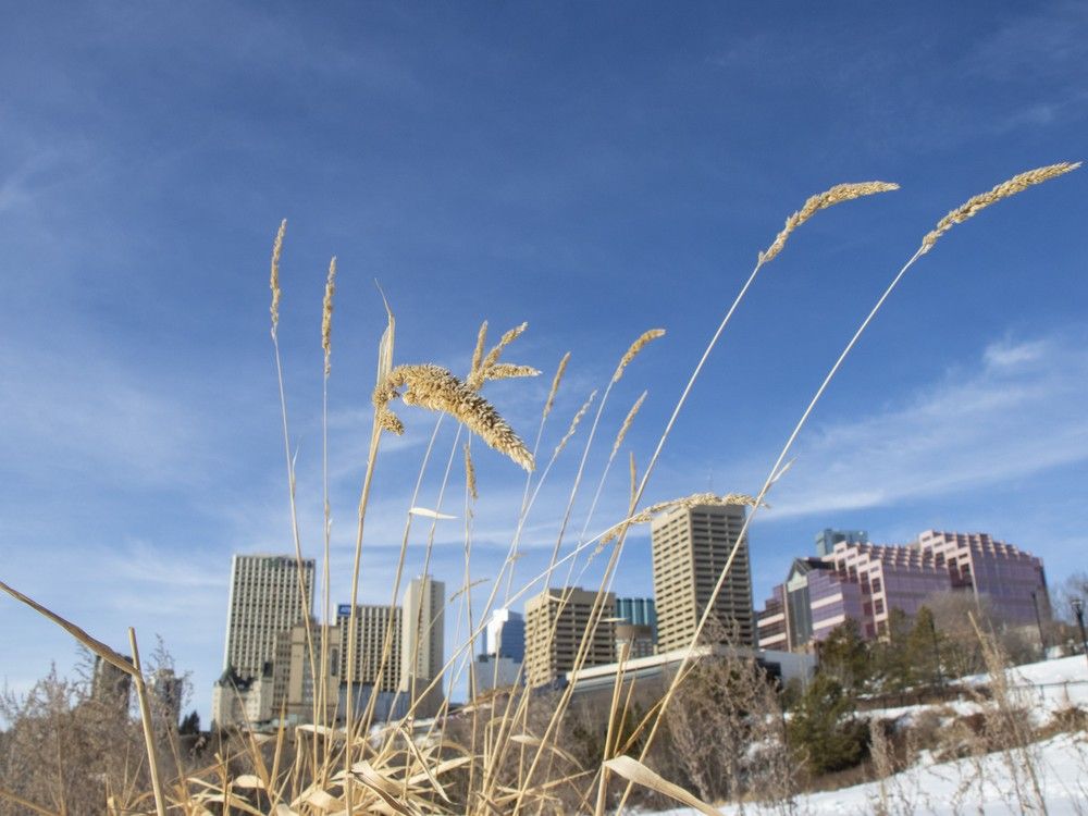 Edmonton weather: Sunny and warm, before snow arrives | Edmonton Journal