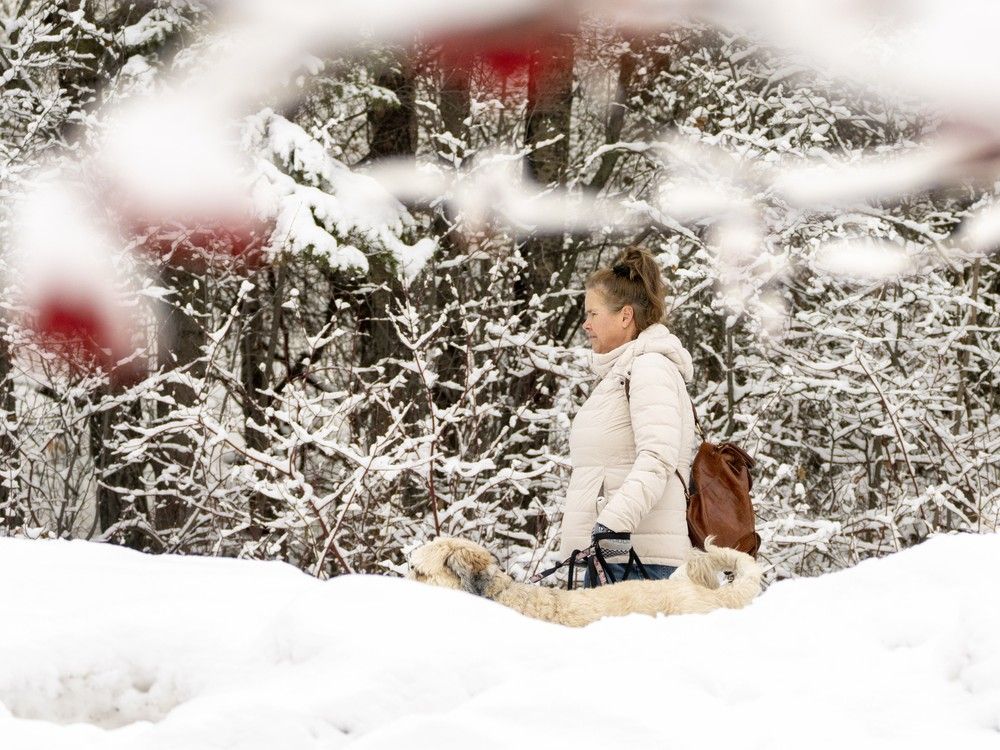 Edmonton weather: Rain turns into snow, 5-10 cm expected overnight ...