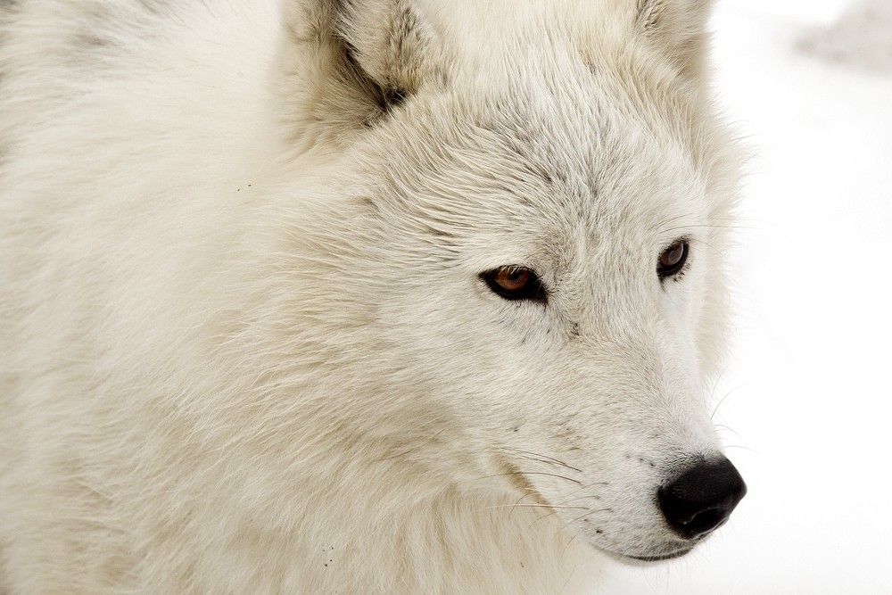 Edmonton weather: Sunshine and a 7 C high to kick off spring | Edmonton ...