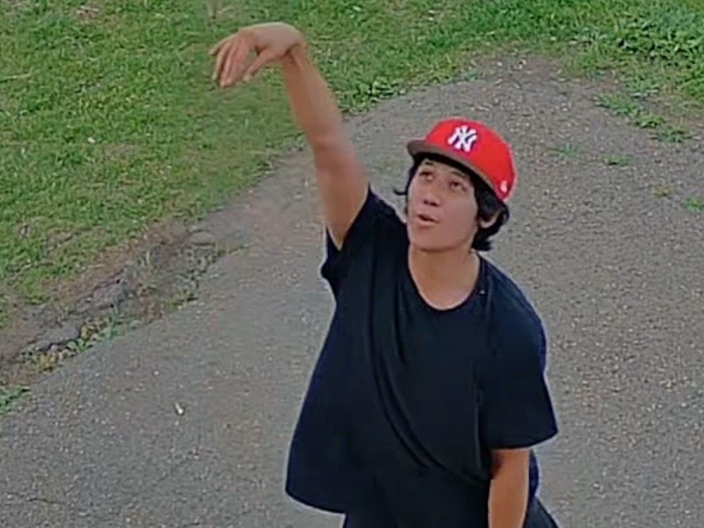 Edmonton police seek five people after St. Pius X playground arson ...