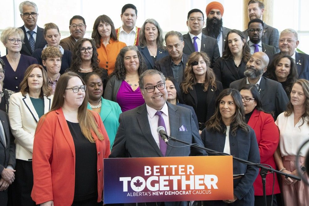 Edmonton Councillor Rice at court to halt misconduct report, sanctions ...