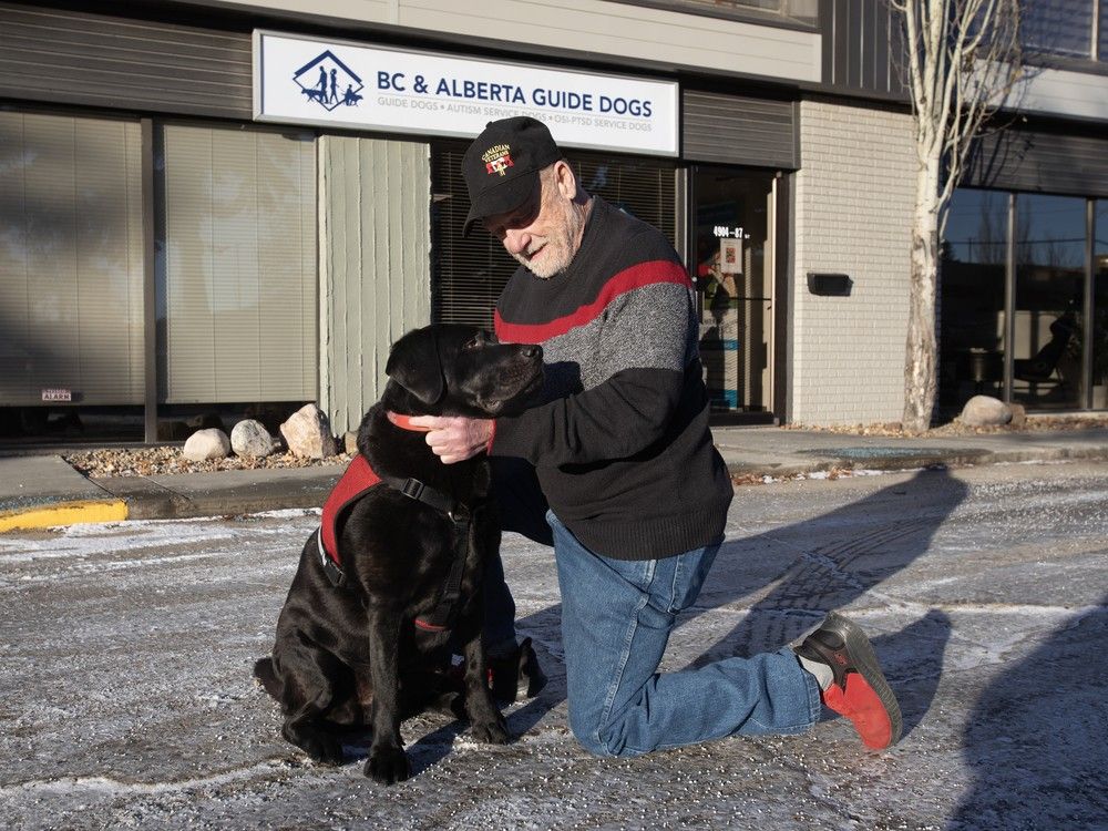 BC & Alberta Guide Dogs open new office and training centre in Edmonton ...