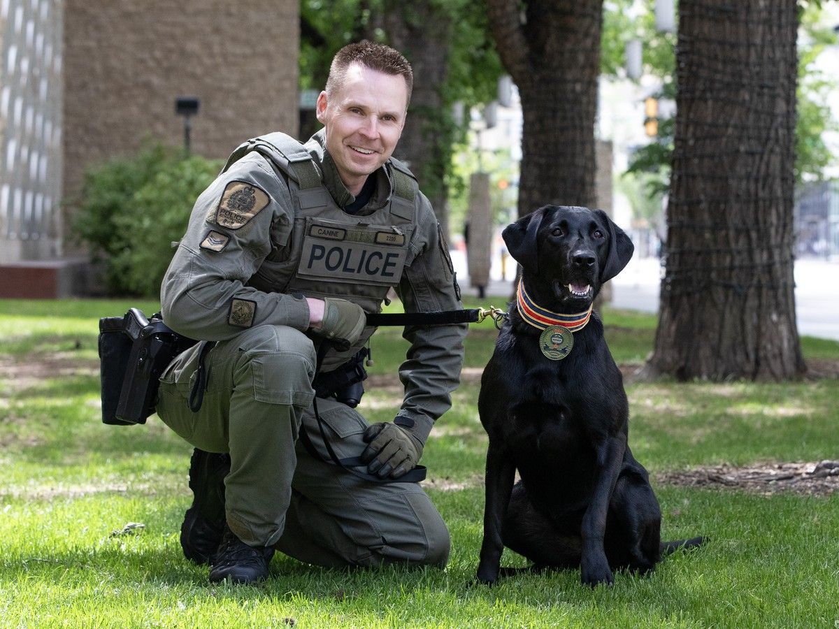 Latest batch of Edmonton police grads includes two cop dogs | Edmonton ...