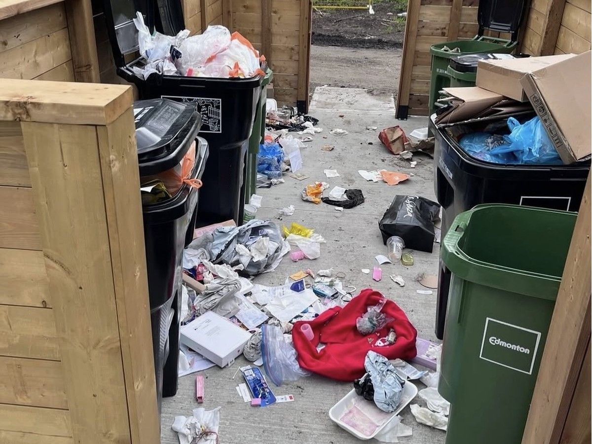 Gunter: Council blindly bulls ahead with undemocratic infill policy ...