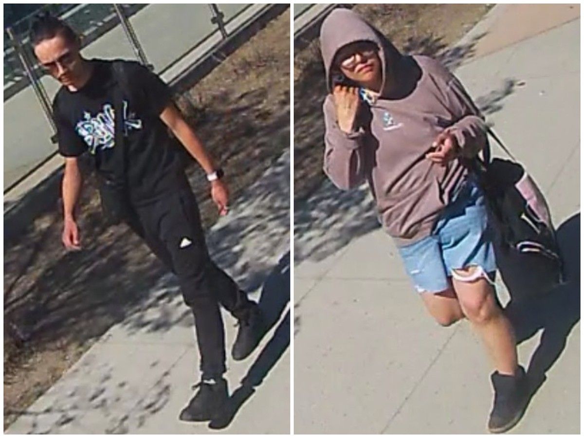 Suspects sought in noon-hour Edmonton convenience store stabbing ...
