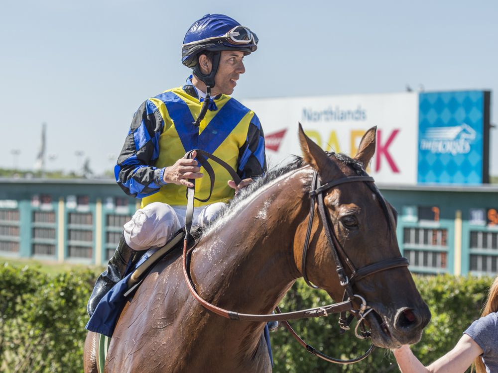 JONES: Jockeys in short supply as horses set to open Century Mile ...