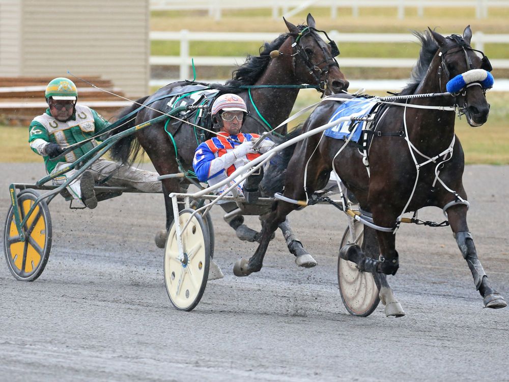 JONES: Big-name horses go up for sale with shutdown of Alberta race ...