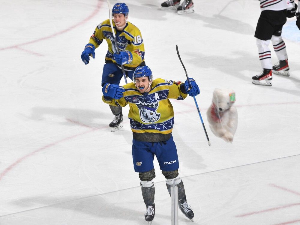 Noah Boyko marks homecoming with Oil Kings' Teddy Bear Toss goal ...