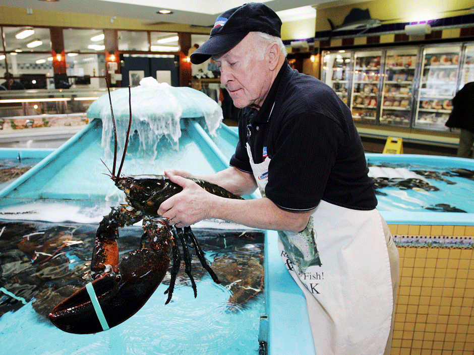 Clearwater Seafoods posts highest annual revenue as public company ...